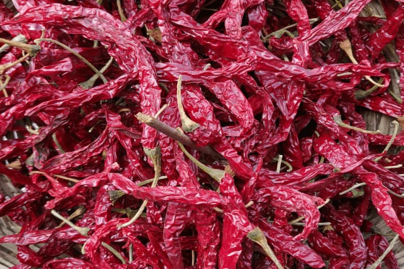 Premium Spices, Agro Products, and Biodegradable Products | SkyHarbour