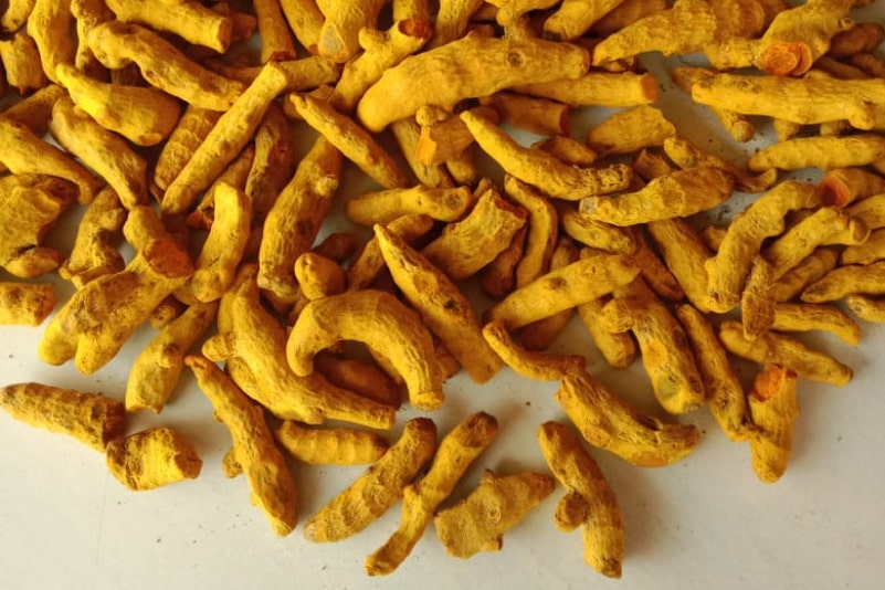 Premium Spices, Agro Products, and Biodegradable Products | SkyHarbour